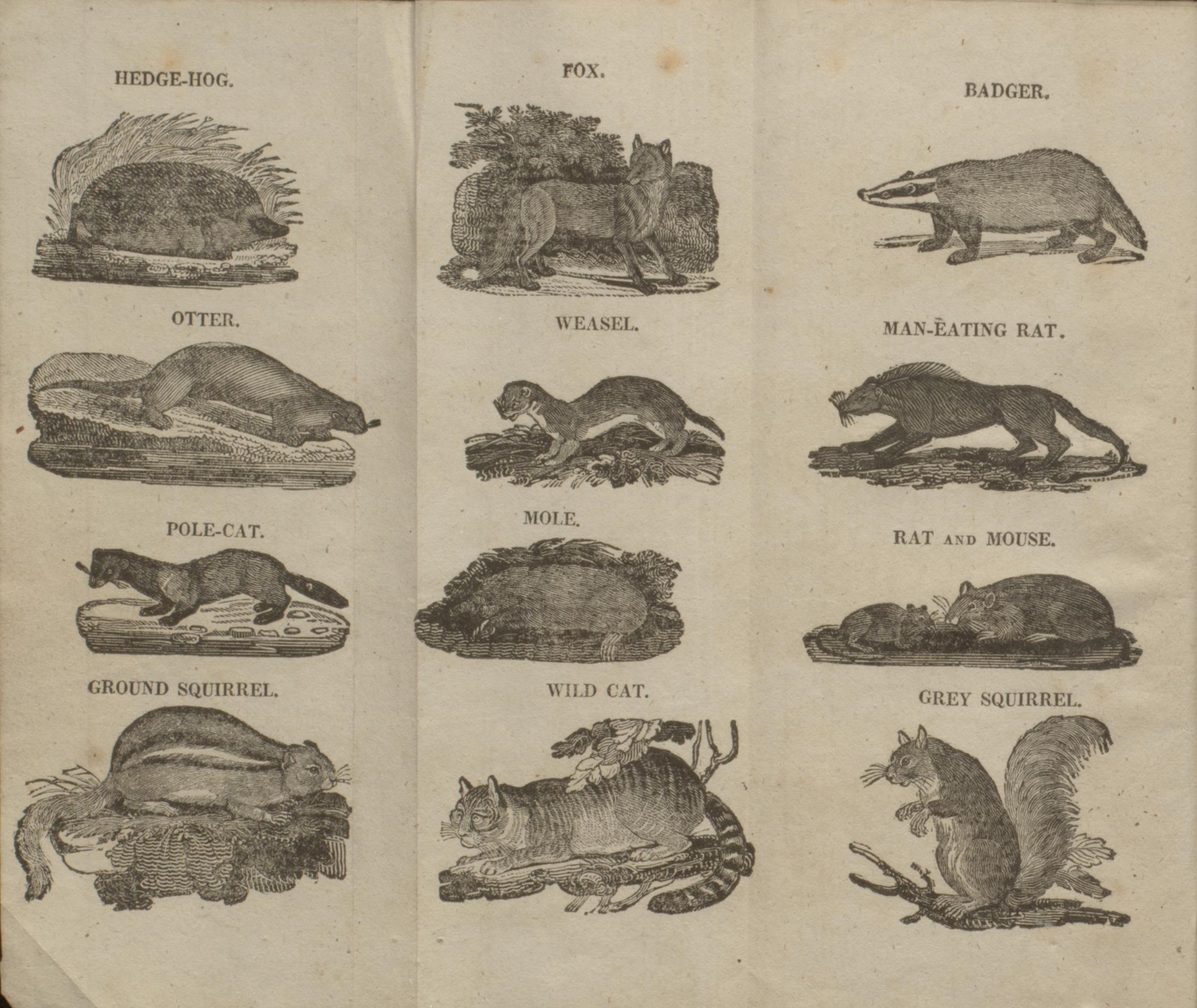 J. H. Spencer’s Chapbook Collection By Dr Cynthia Johnston: The ...